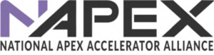 VI APEX – Government Contracting Starts Here